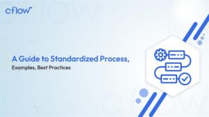 A Guide to Standardized Process, Examples, Best Practices | Cflow UK